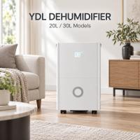 China 20L-30L Compact Portable Dehumidifier For Basement / HEPA Filter / Bedroom / Garage for sale