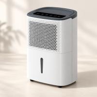 China Small Medium Dehumidifier 10-16L/Day Carbon Filter Optional Custom Design For Home Closet for sale