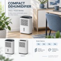 China Small Medium Dehumidifier 10-16L/Day Carbon Filter Optional Custom Design For Home Closet for sale