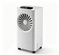 China Compact Dehumidifier 10L 12L/Day Digital Humidistat Auto Defrost H13 HEPA Carbon 37dB 125m3/H for sale