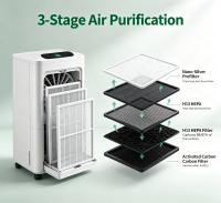 China Compact Dehumidifier 10L 12L/Day Digital Humidistat Auto Defrost H13 HEPA Carbon 37dB 125m3/H for sale