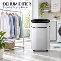 China 20L 25L/Day Compact Dehumidifier Digital Humidistat Smart Mode 180-210m3/h 40dB Auto Defrost 1m Drain for sale