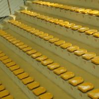 China Bleacher Stools Indoor Outdoor Stadium Chairs Outdoor Bleachers for sale