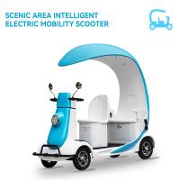 China CE Adjustable Handlebar Electric Sightseeing Vehicles Custom Design for sale