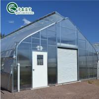 China Customizable Size High Tunnel Agricultural Single-span Plastic Film Greenhouse for Vrgetable for sale