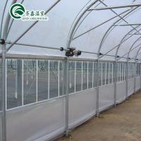 China Customizable Size High Tunnel Agricultural Single-span Plastic Film Greenhouse for Vrgetable for sale