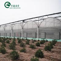 China Transparent Beach House Tent Greenhouse with Hot Galvanizing Aluminum Steel Structure for sale
