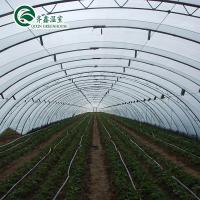 China Customizable Size High Tunnel Agricultural Single-span Plastic Film Greenhouse for Vrgetable for sale