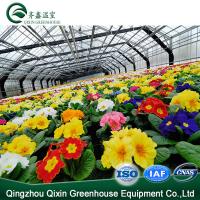 China Vegetable Fruits Flowers Tomatoes Hot Galvanizing Aluminum Steel Structure Greenhouse for sale