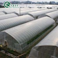 China Customizable Size High Tunnel Agricultural Single-span Plastic Film Greenhouse for Vrgetable for sale