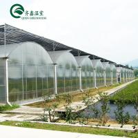 China Transparent Beach House Tent Greenhouse with Hot Galvanizing Aluminum Steel Structure for sale