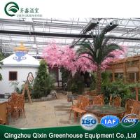 China Vegetable Fruits Flowers Tomatoes Hot Galvanizing Aluminum Steel Structure Greenhouse for sale
