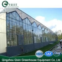 China Vegetable Fruits Flowers Tomatoes Hot Galvanizing Aluminum Steel Structure Greenhouse for sale
