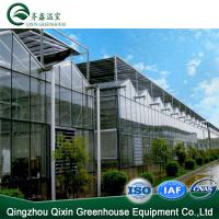 China Vegetable Fruits Flowers Tomatoes Hot Galvanizing Aluminum Steel Structure Greenhouse for sale
