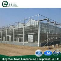 China Vegetable Fruits Flowers Tomatoes Hot Galvanizing Aluminum Steel Structure Greenhouse for sale