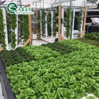 China Large Hydroponic Galvanized Steel Pipe For Film Greenhouses in Double or Single Layer for sale
