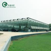 China Large Customized Agricultural Glass Greenhouse with PVC Hydroponic Gutter System for sale