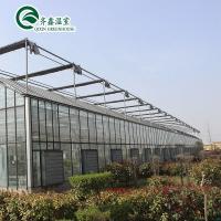 China Customized Glass-Covered Vegetable Greenhouse for Restaurant Growth for sale