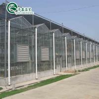 China Customized Glass-Covered Vegetable Greenhouse for Restaurant Growth for sale