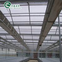 China Customized Glass-Covered Vegetable Greenhouse for Restaurant Growth for sale