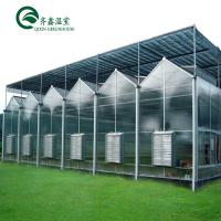 China Polycarbonate Sheet Aquaponic Tomato Galvanized Steel Pipe For Prefabricated PcTent Greenhouse for sale