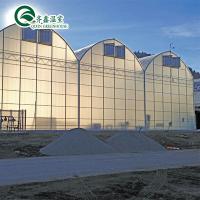 China Ventilation-Friendly Tomato Greenhouse with Dutch Bucket and Plastic Film Covering for sale