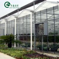 China Polycarbonate Sheet Aquaponic Tomato Galvanized Steel Pipe For Prefabricated PcTent Greenhouse for sale