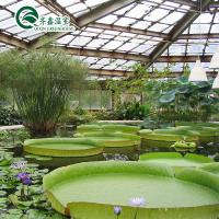 China Polycarbonate Sheet Aquaponic Tomato Galvanized Steel Pipe For Prefabricated PcTent Greenhouse for sale