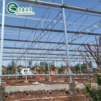 China Multi-Span Agricultural Greenhouses Prefabricated Rain Shelter for Tomato Cultivation for sale