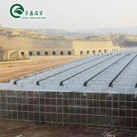 China Multi-Span Agricultural Greenhouses Prefabricated Rain Shelter for Tomato Cultivation for sale