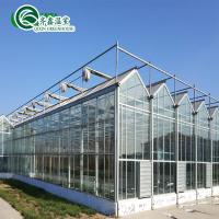 China Automatic Controlling Box 25-Year Galvanized Steel Structure for Large Glass Greenhouse for sale