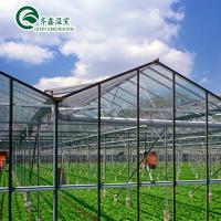 China Automatic Controlling Box 25-Year Galvanized Steel Structure for Large Glass Greenhouse for sale