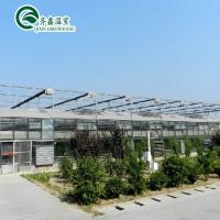 China Automatic Controlling Box 25-Year Galvanized Steel Structure for Large Glass Greenhouse for sale