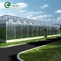 China Automatic Controlling Box 25-Year Galvanized Steel Structure for Large Glass Greenhouse for sale