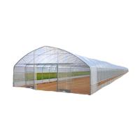 China Tunnel Greenhouse Choose Customizable Size Single-Span Agricultural Greenhouses Today for sale