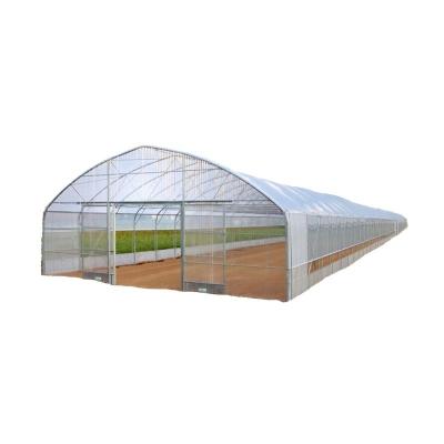 China Tunnel Greenhouse Choose Customizable Size Single-Span Agricultural Greenhouses Today for sale