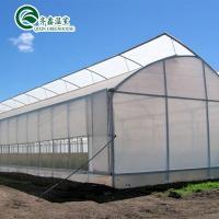 China Tunnel Greenhouse Choose Customizable Size Single-Span Agricultural Greenhouses Today for sale