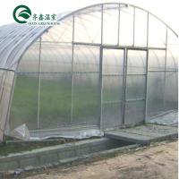 China Tunnel Greenhouse Choose Customizable Size Single-Span Agricultural Greenhouses Today for sale