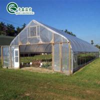 China Tunnel Greenhouse Choose Customizable Size Single-Span Agricultural Greenhouses Today for sale