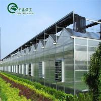 China Main Structure Hot Galvanizing Aluminum Steel Prefabric Green House for Tomato Growing for sale