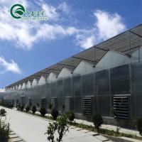 China Main Structure Hot Galvanizing Aluminum Steel Prefabric Green House for Tomato Growing for sale