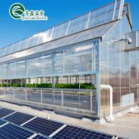 China Main Structure Hot Galvanizing Aluminum Steel Prefabric Green House for Tomato Growing for sale