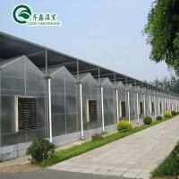 China Main Structure Hot Galvanizing Aluminum Steel Prefabric Green House for Tomato Growing for sale