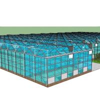 China 3.8m-9.8m Ridge Height Glass Solar Greenhouse for Customer Requirements for sale