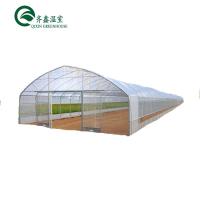 China Hot Galvanized Aluminum Steel Structure Agriculture Tunnel Greenhouse for Vegetables for sale
