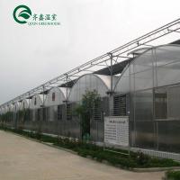 China Tomatoes Vertical Hydroponic System for Multi-Span Greenhouse Sales in Netherlands for sale
