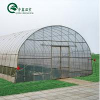 China Hot Galvanized Aluminum Steel Structure Agriculture Tunnel Greenhouse for Vegetables for sale