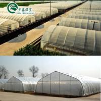 China Hot Galvanized Aluminum Steel Structure Agriculture Tunnel Greenhouse for Vegetables for sale