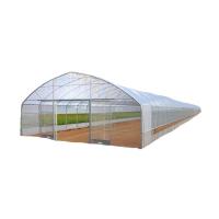 China Film Cover Greenhouses for Single Layer Growing of Vegetables Fruits and Flowers for sale