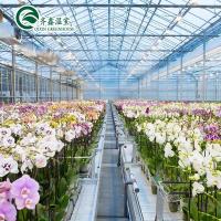 China Film Cover Greenhouses for Single Layer Growing of Vegetables Fruits and Flowers for sale